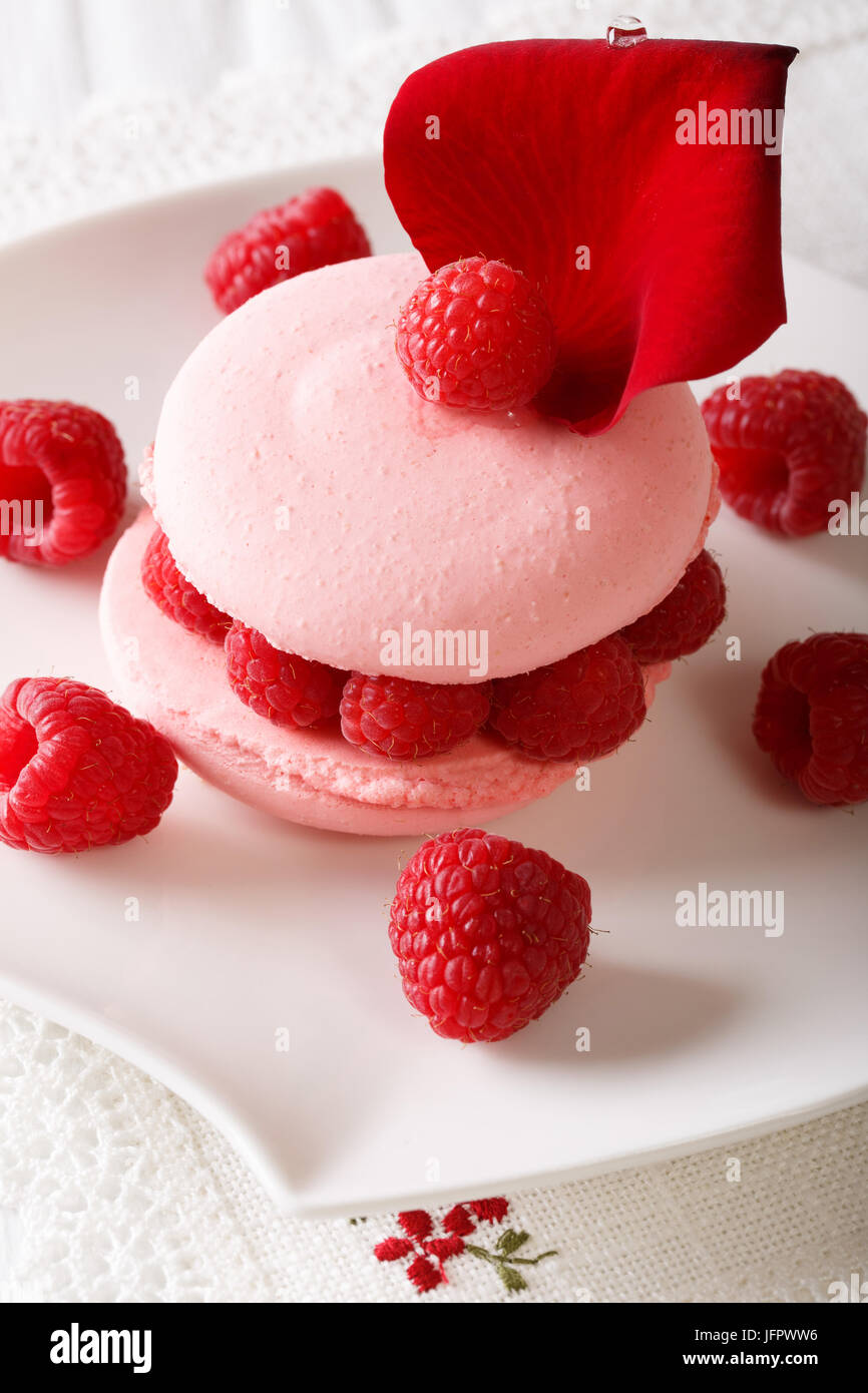 Festive macaroon with raspberry and rose petal close-up on a white ...