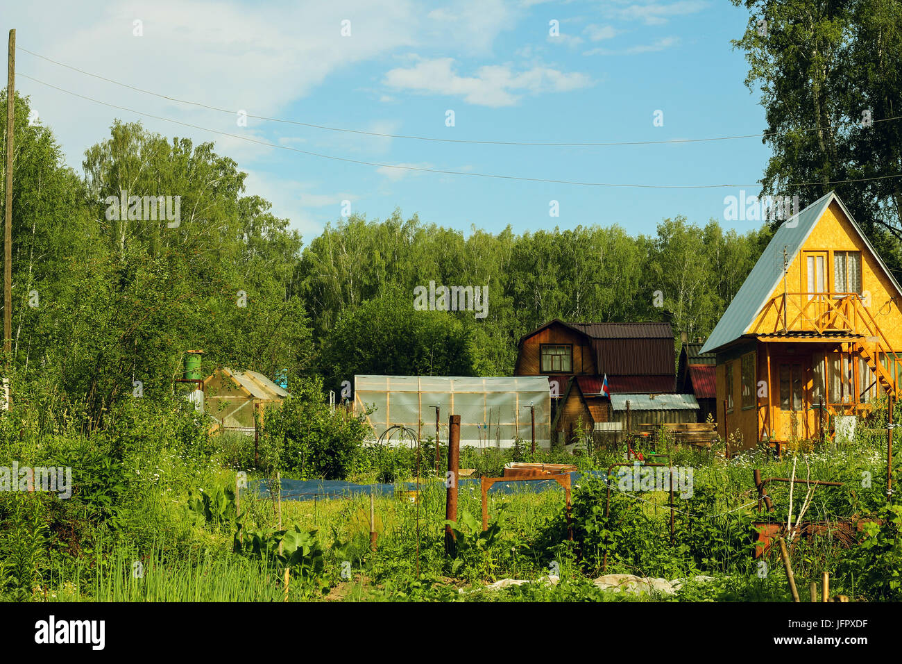 Russian small village in the summer Stock Photo - Alamy