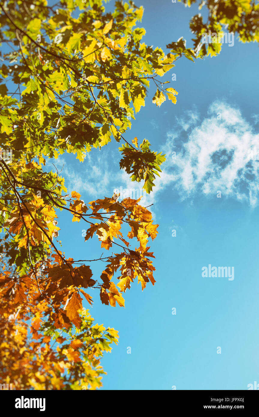 Colorful sky view hi-res stock photography and images - Alamy