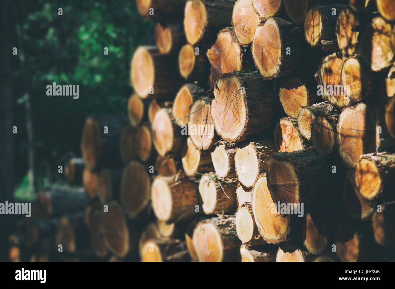 pile of natural wooden logs background Stock Photo - Alamy