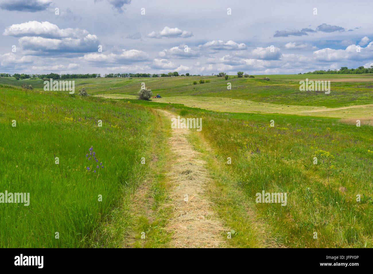 Ukrainian summer landscape with meadow in haymaking time Stock Photo ...
