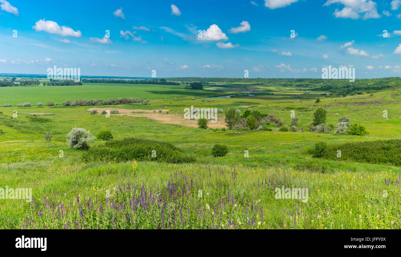 Summer panoramic landscape with fields and water-meadows near Oril ...
