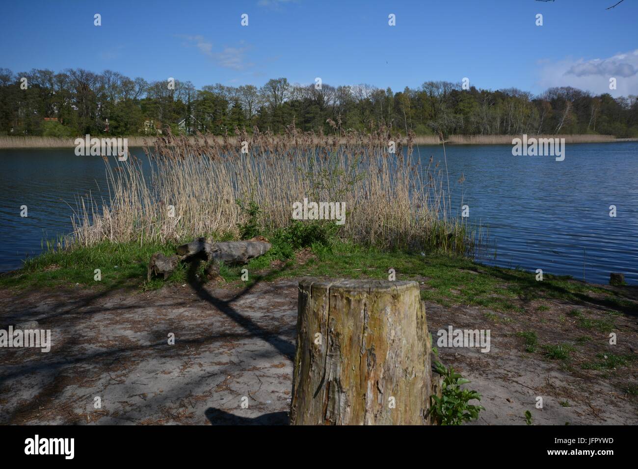 Impressions from the Falkenhagen lake in Falkensee (Brandenburg) from ...