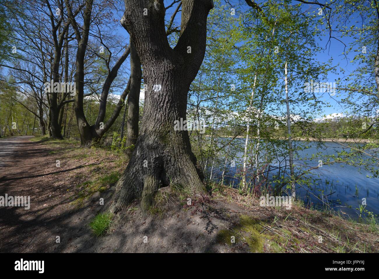 Impressions from the Falkenhagen lake in Falkensee (Brandenburg) from ...