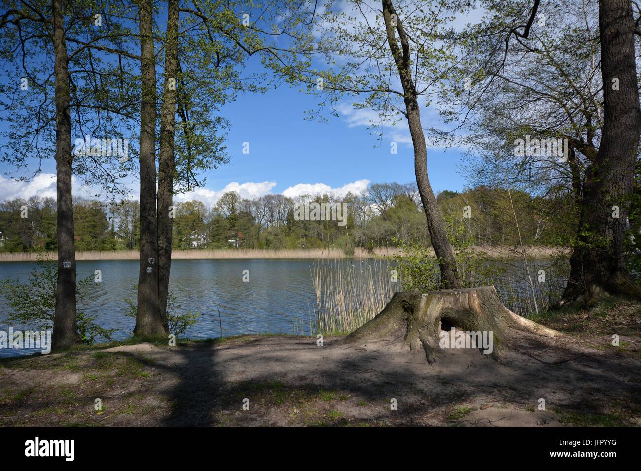 Impressions from the Falkenhagen lake in Falkensee (Brandenburg) from ...