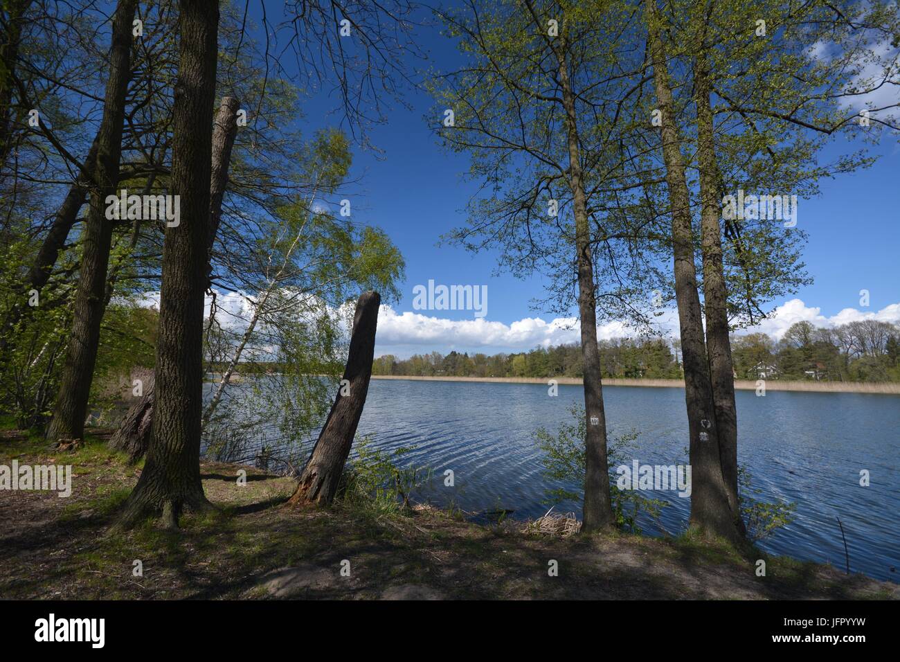 Impressions from the Falkenhagen lake in Falkensee (Brandenburg) from ...