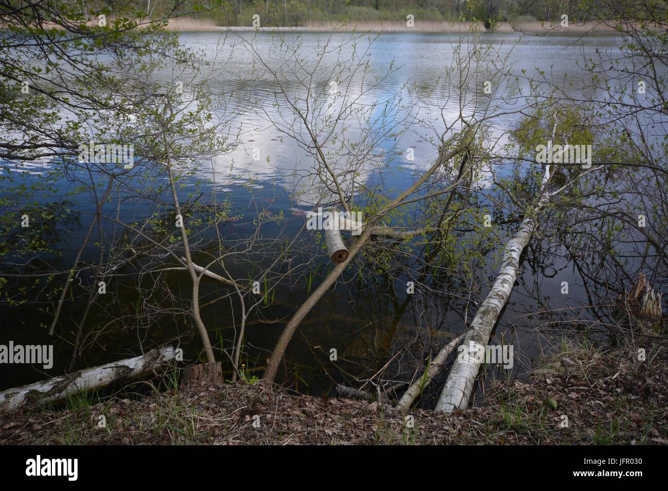 Impressions from the Falkenhagen lake in Falkensee (Brandenburg) from ...