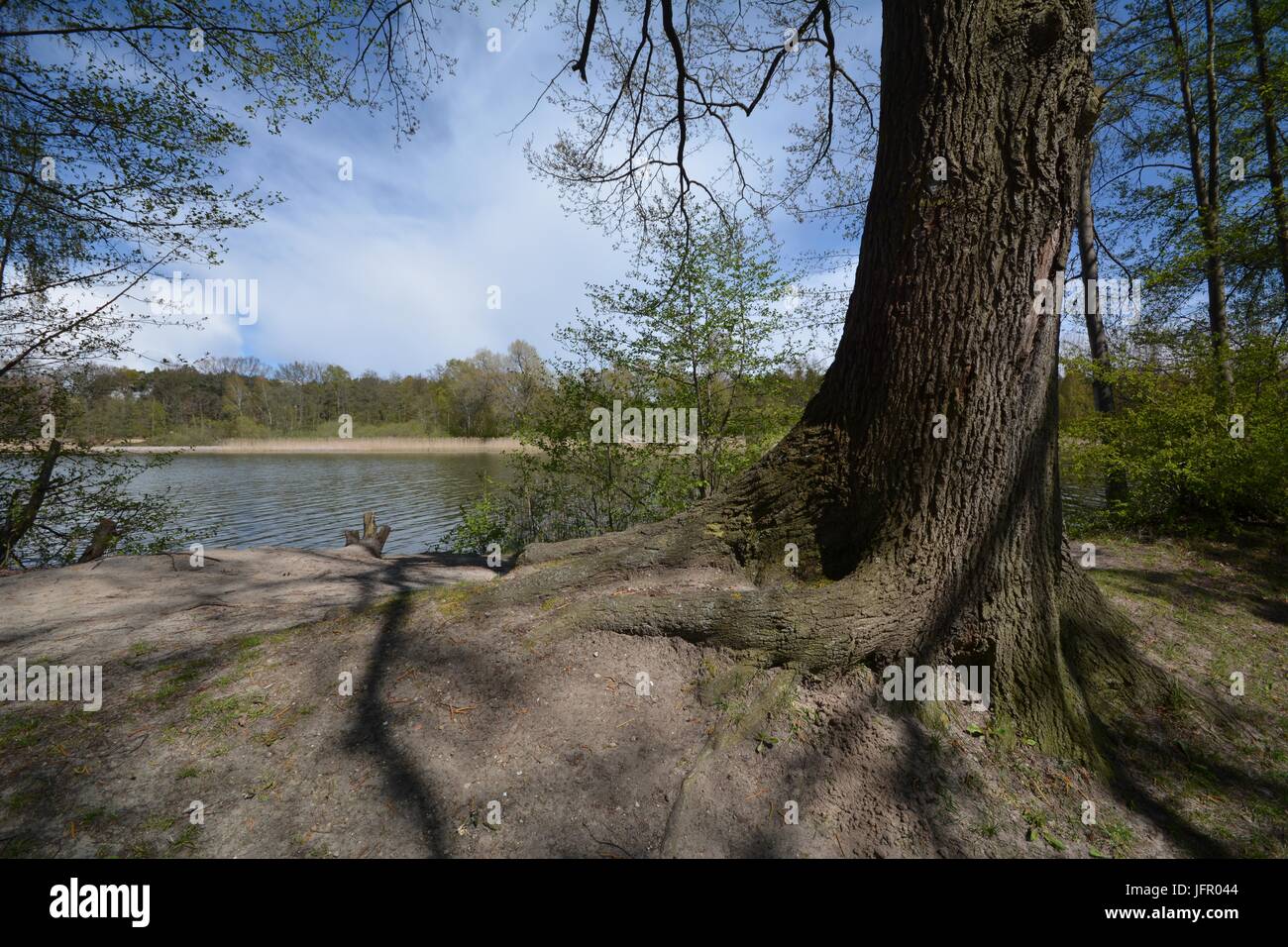 Impressions from the Falkenhagen lake in Falkensee (Brandenburg) from ...