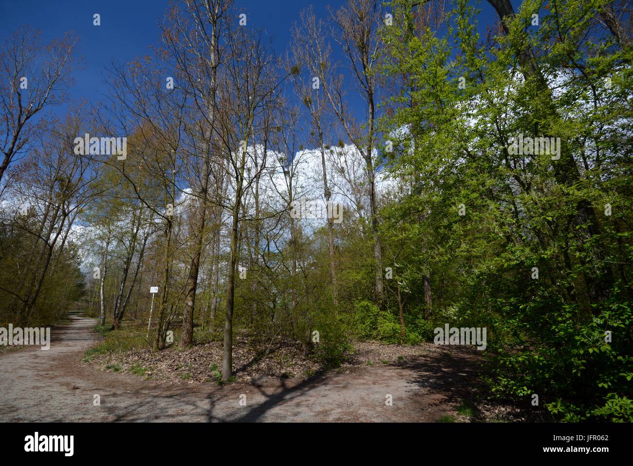 Impressions from the Falkenhagen lake in Falkensee (Brandenburg) from ...