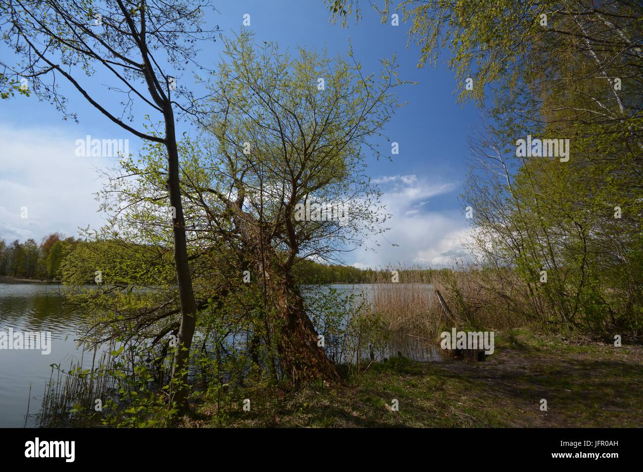 Impressions from New lake (Neuer See) in Falkensee (Brandenburg) from ...