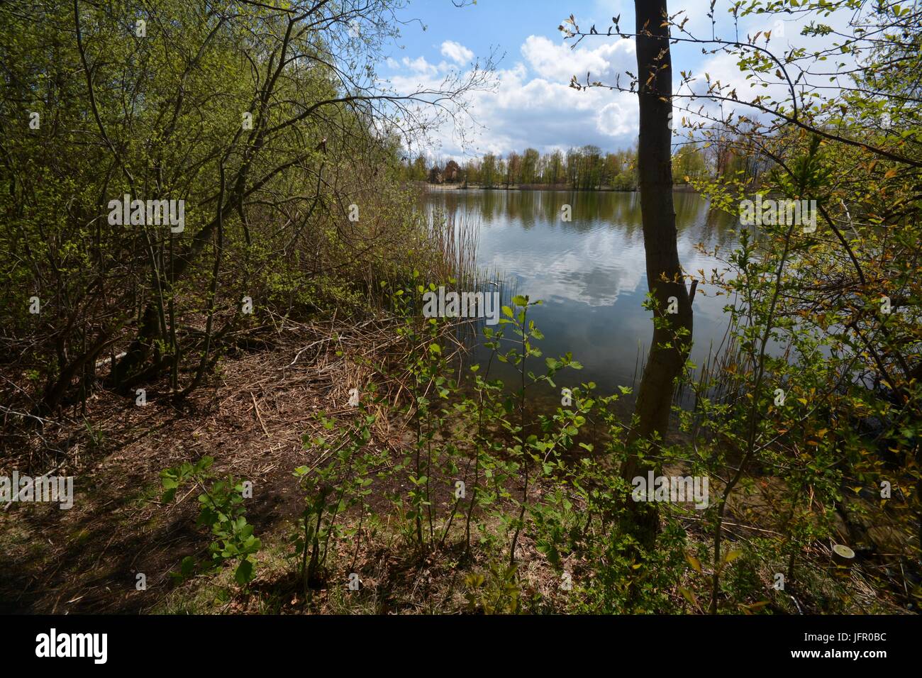 Impressions from New lake (Neuer See) in Falkensee (Brandenburg) from ...