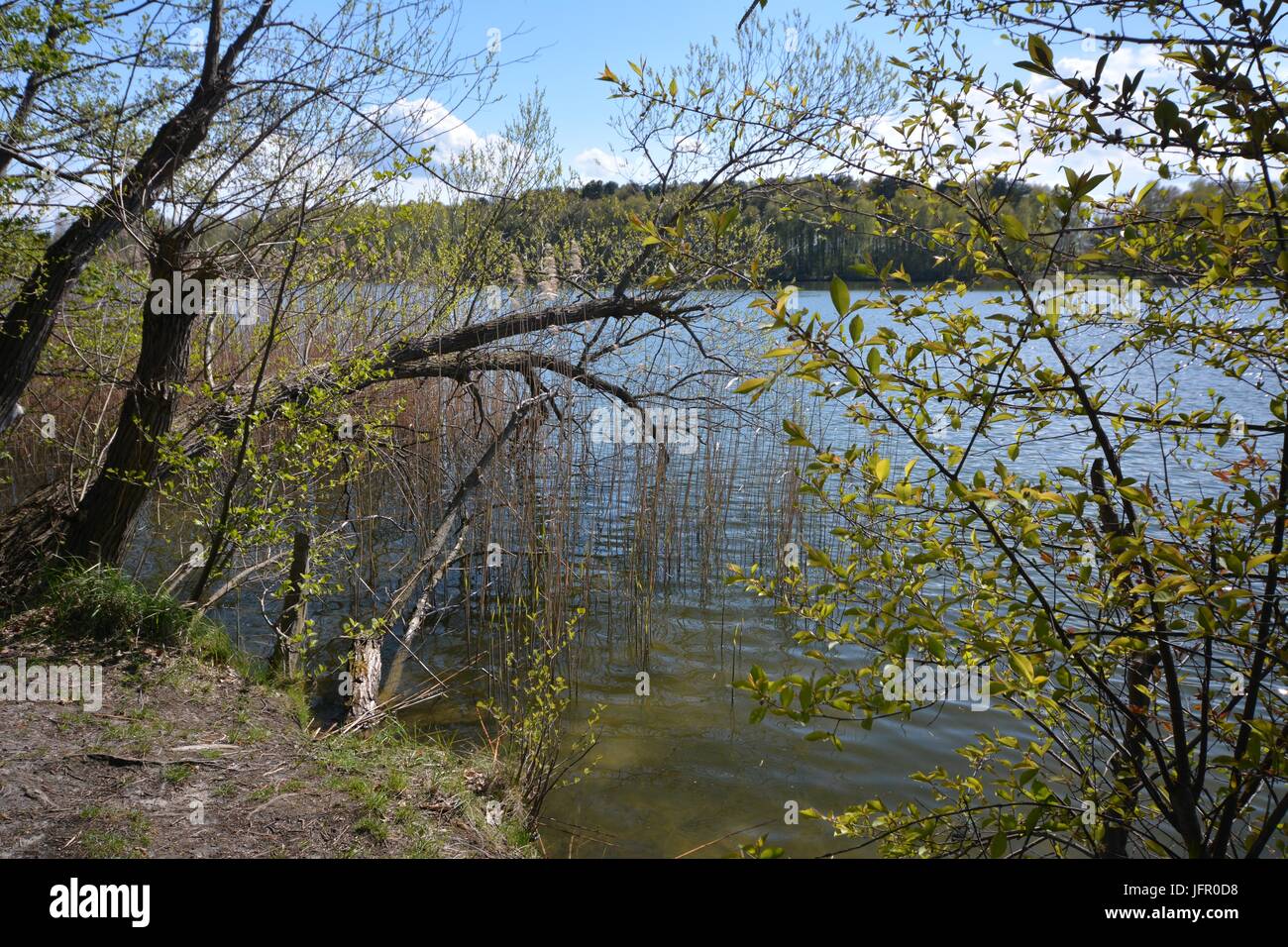 Impressions from New lake (Neuer See) in Falkensee (Brandenburg) from ...
