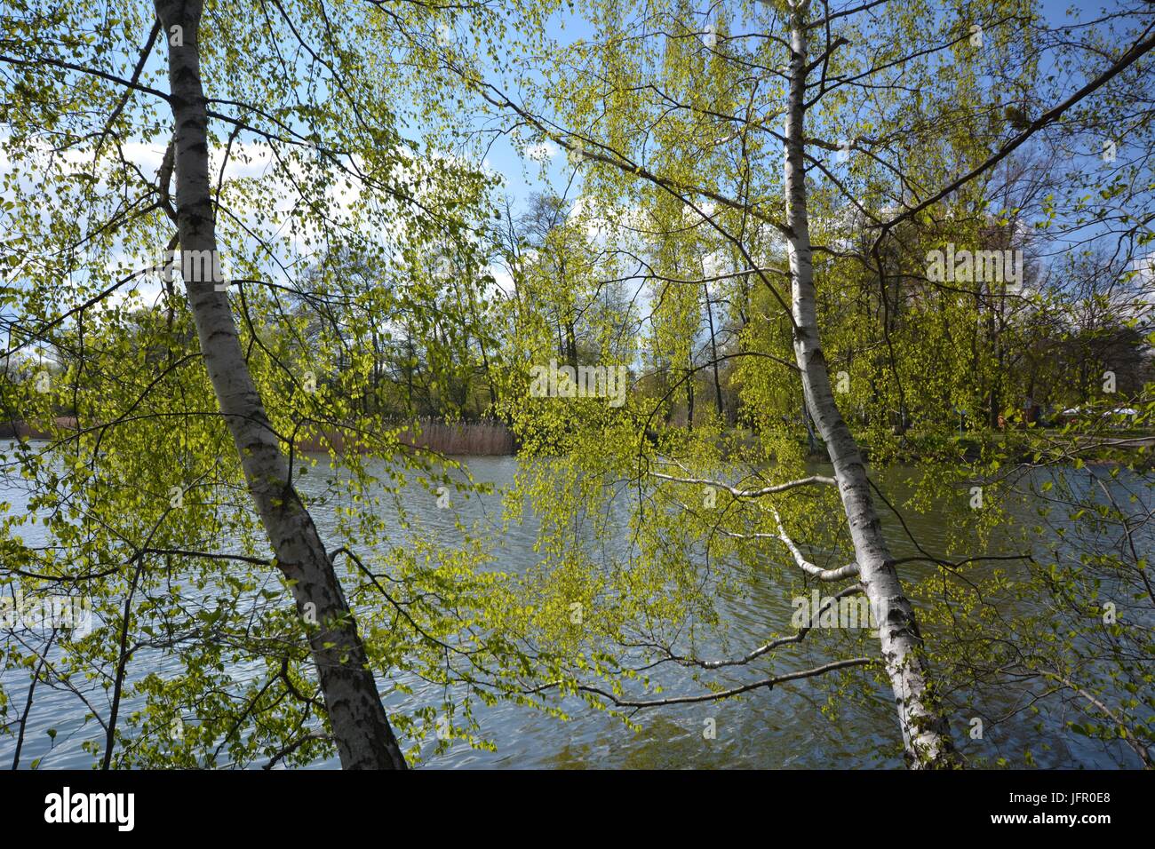 Impressions from New lake (Neuer See) in Falkensee (Brandenburg) from ...