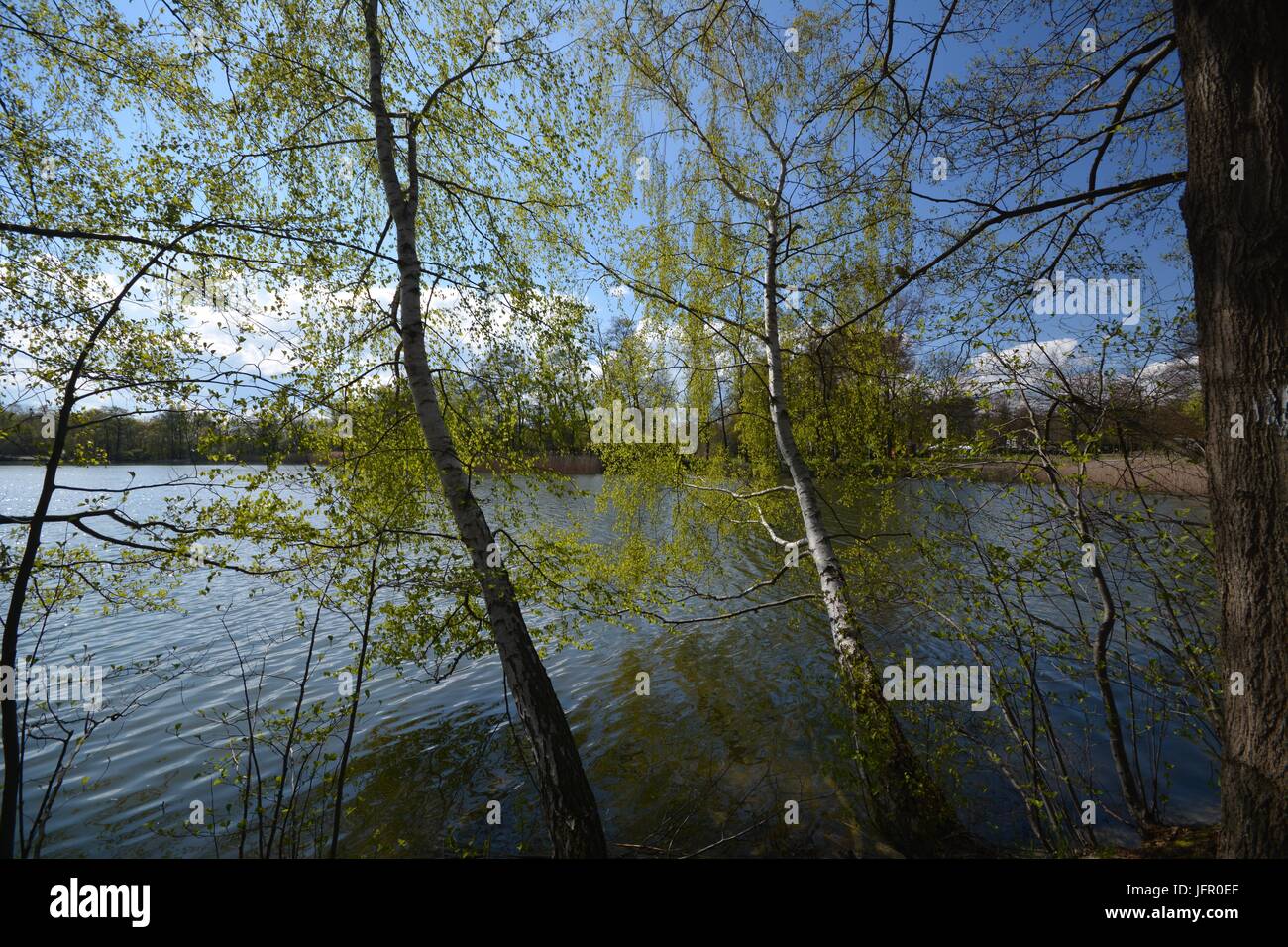 Impressions from New lake (Neuer See) in Falkensee (Brandenburg) from ...