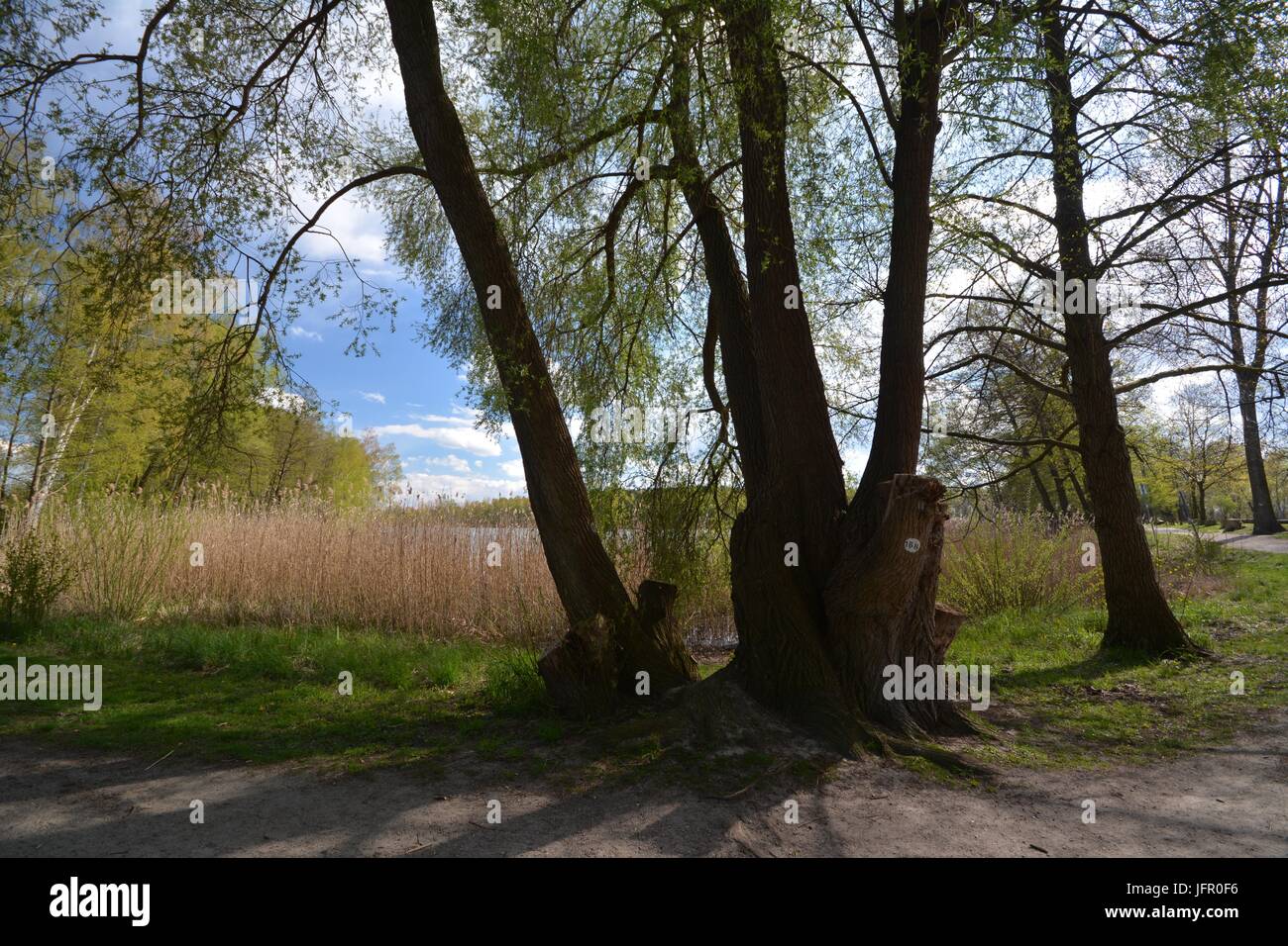 Impressions from New lake (Neuer See) in Falkensee (Brandenburg) from ...
