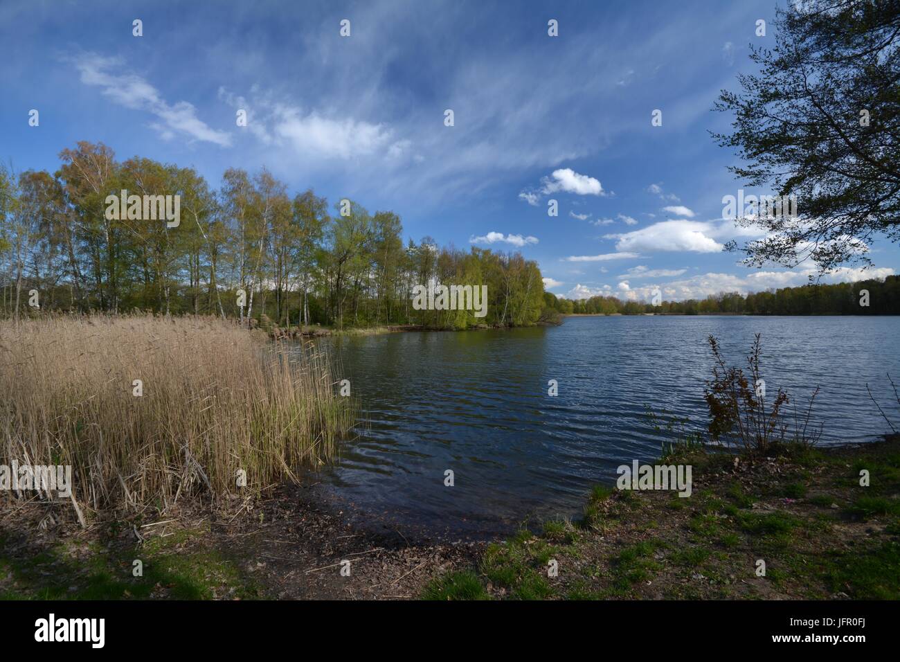Impressions from New lake (Neuer See) in Falkensee (Brandenburg) from ...