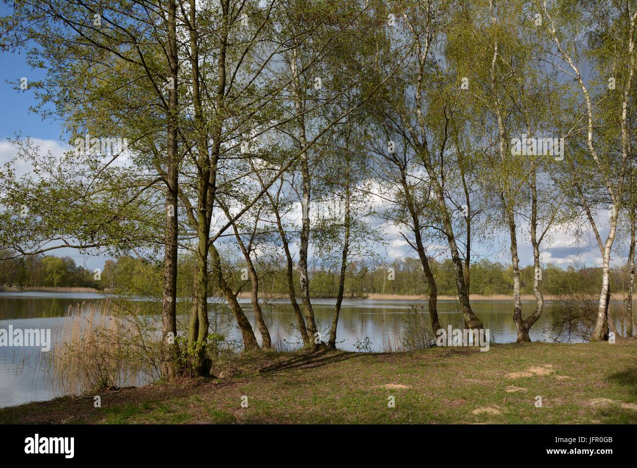 Impressions from New lake (Neuer See) in Falkensee (Brandenburg) from ...