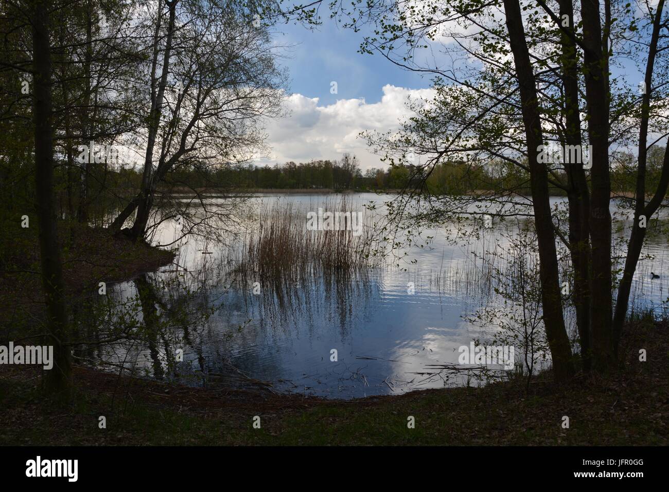 Impressions from New lake (Neuer See) in Falkensee (Brandenburg) from ...