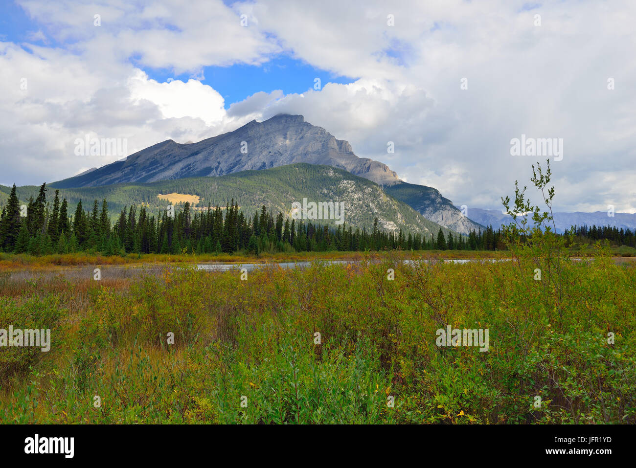 Alpine scenery along the Icefields Parkway between Jasper and Banff in ...
