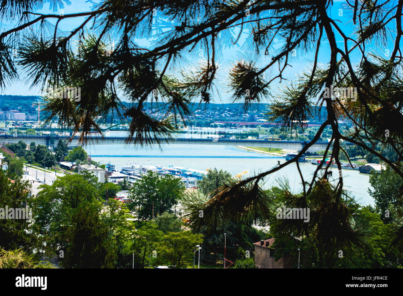 Belgrade Serbia Nice View from Old Castle and Green Tree Stock Photo ...