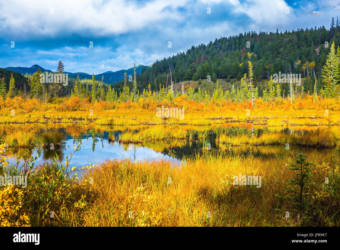 Charming Patricia Lake Stock Photo - Alamy