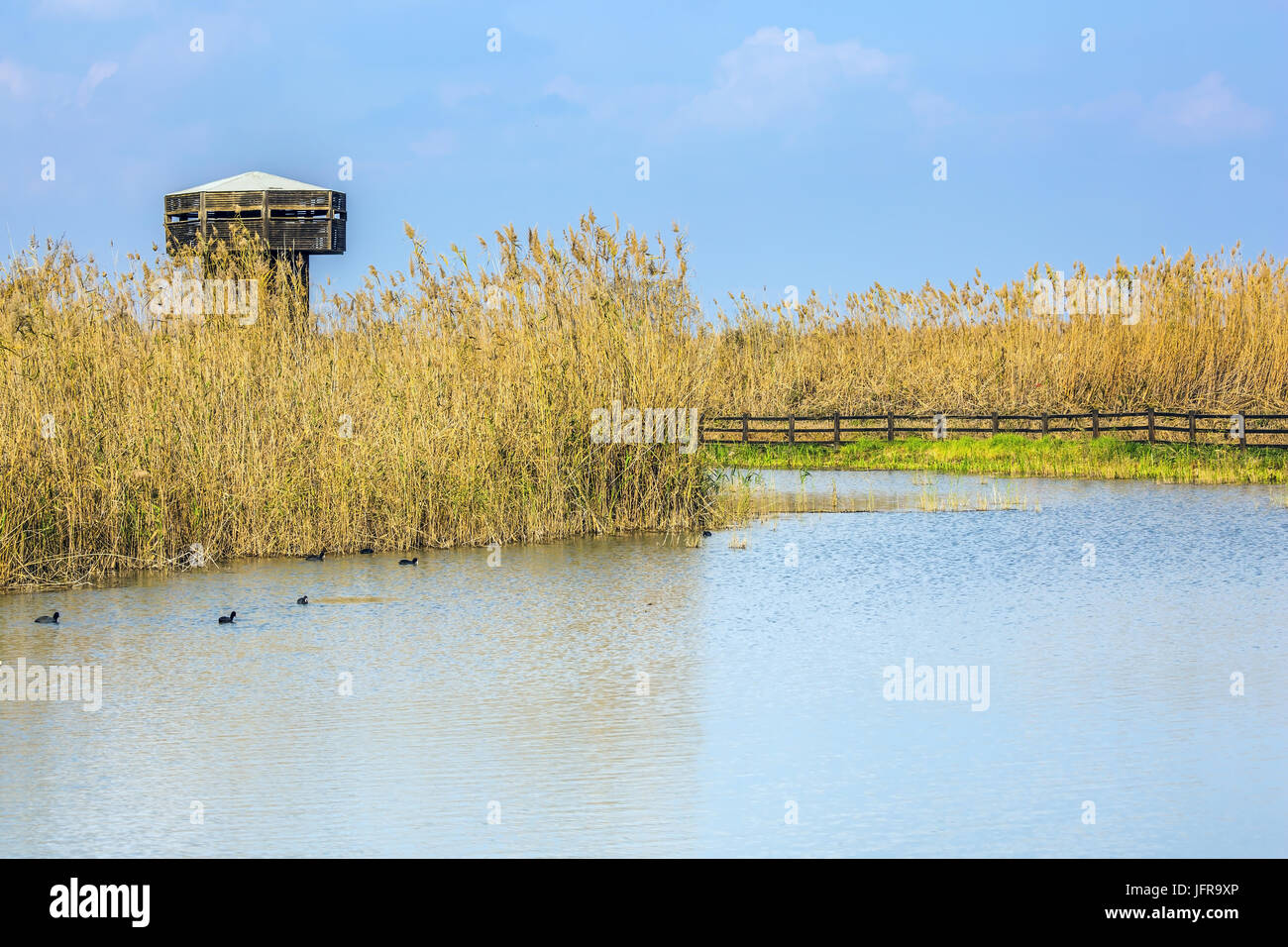 Wooden round tower for bird watching Stock Photo - Alamy