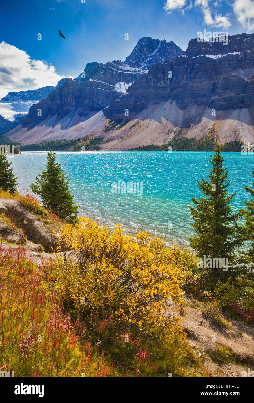 Bow Lake in Banff National Park Stock Photo - Alamy