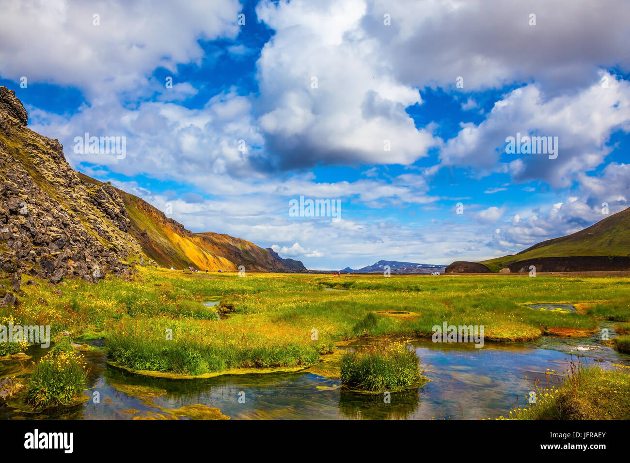 Green grass in Iceland Stock Photo - Alamy