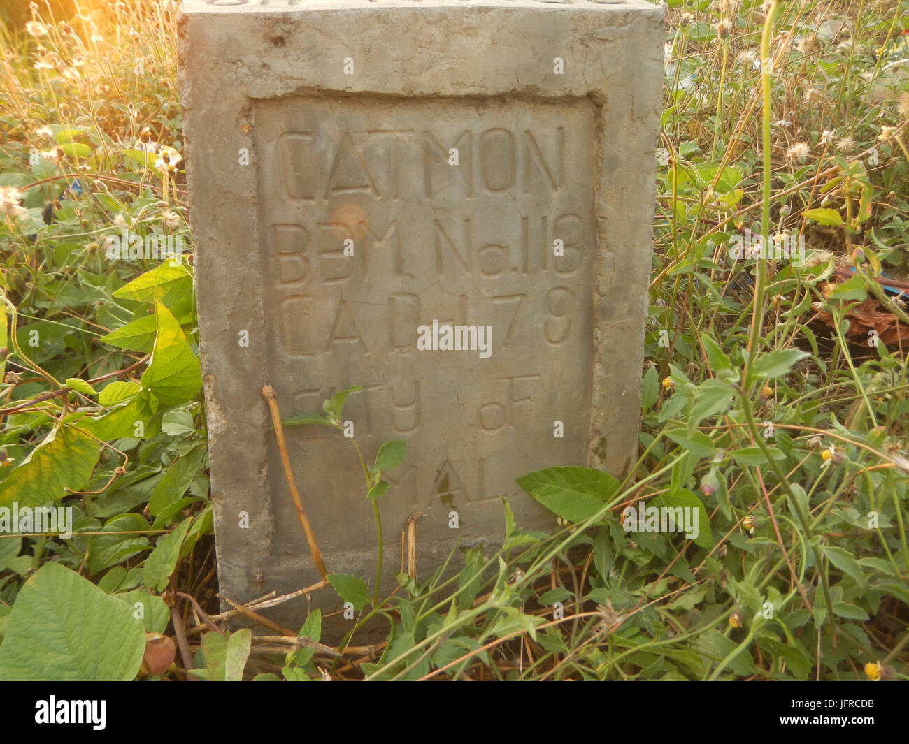 The Malolos City NBN-ZTE deal scandal involved allegations of ...