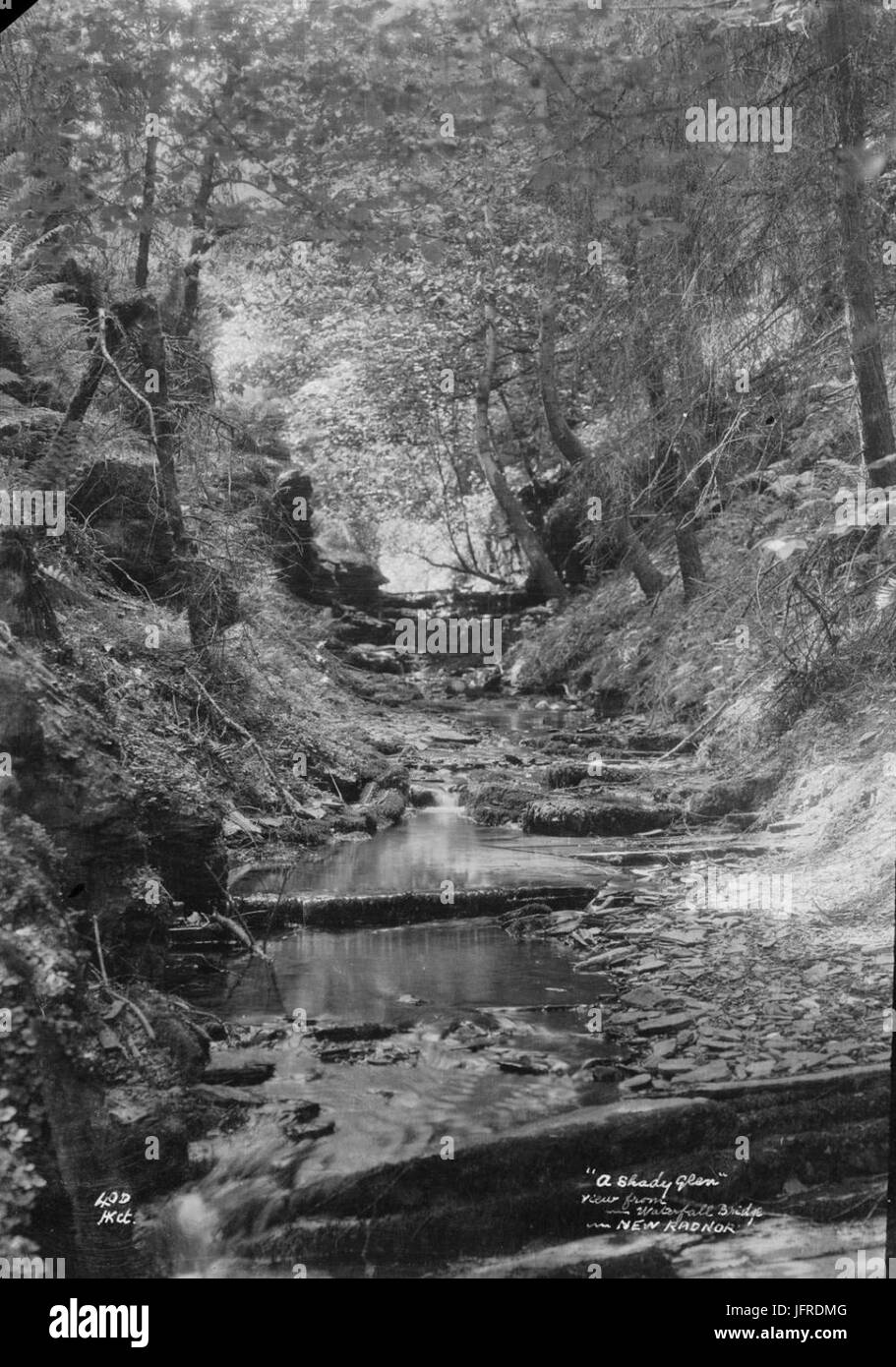 Shady green Black and White Stock Photos & Images - Alamy