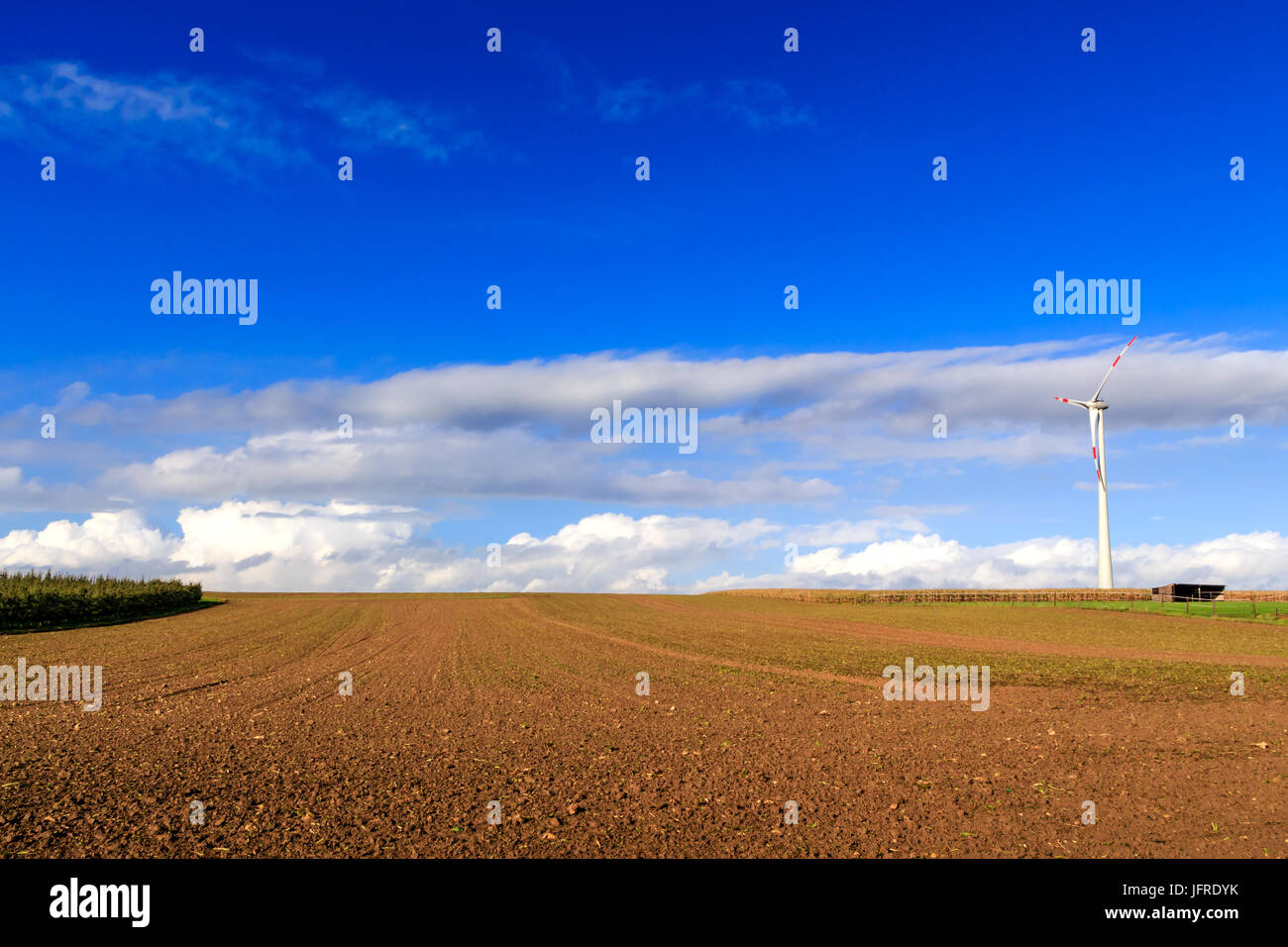 Bekkevoort hi-res stock photography and images - Alamy