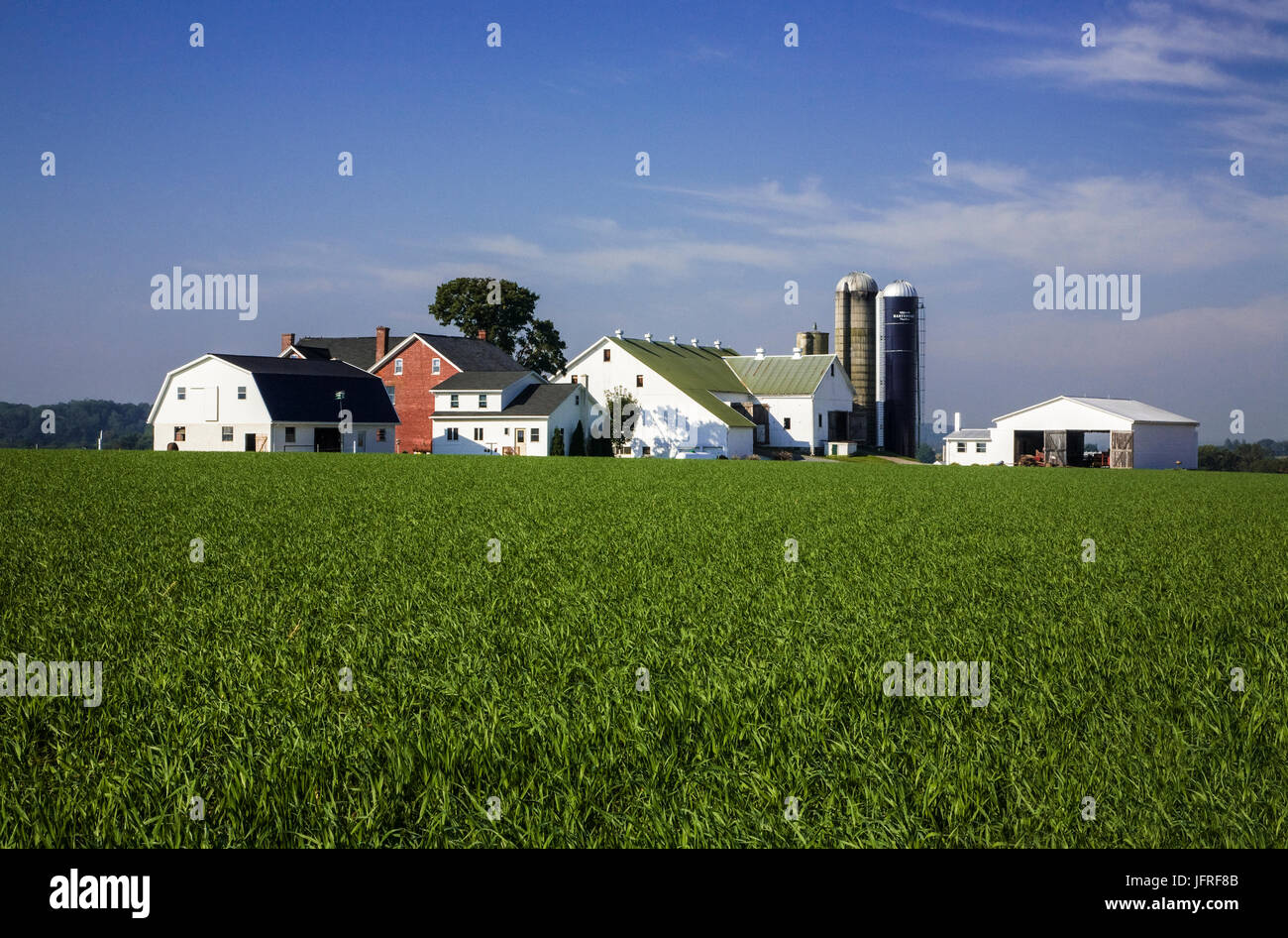 Amish farms in rural pennsylvania hi-res stock photography and images ...