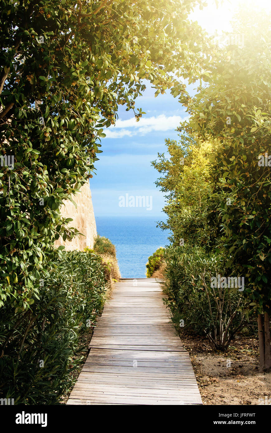 A path covered with wooden panels between the trees and bushes with a ...