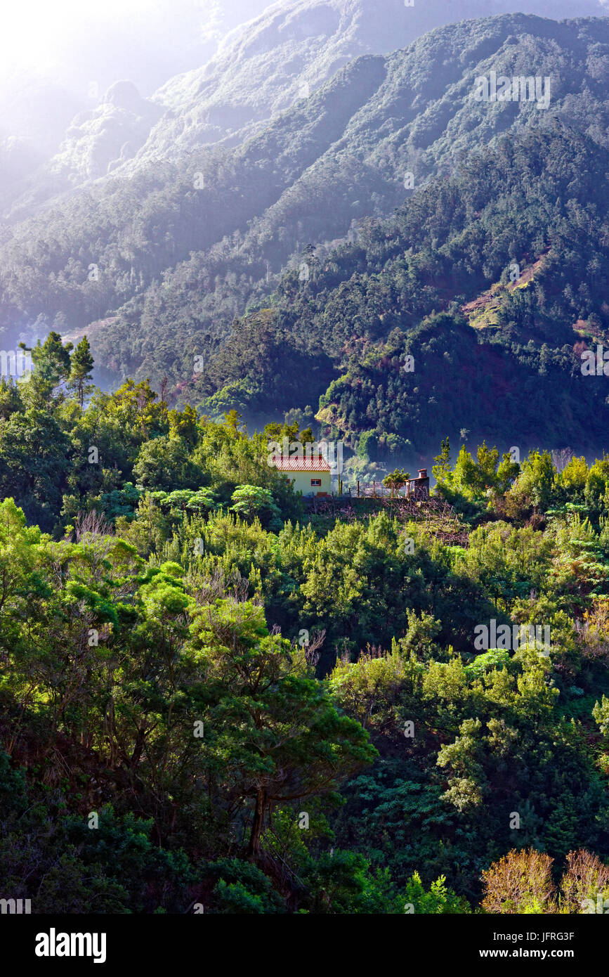 A view of the verdant tree covered landscape of the island of Madeira ...