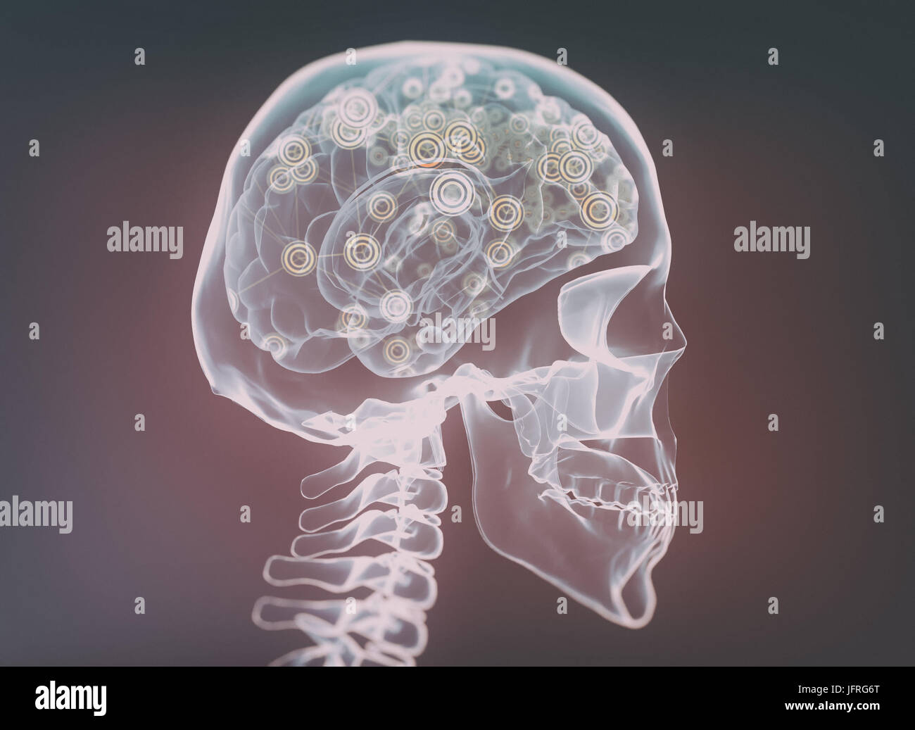 X-ray brain and skeleton isolated on black network Stock Photo - Alamy