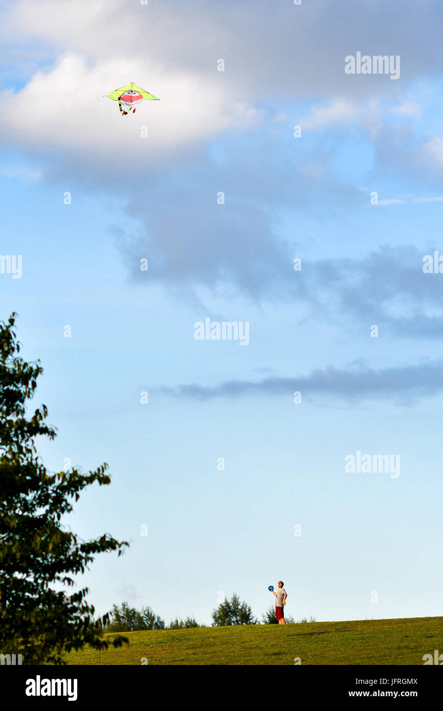 Japanese kite hi-res stock photography and images - Alamy