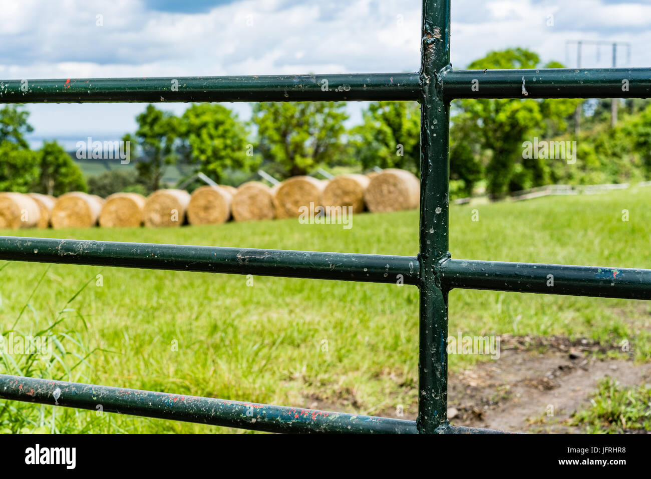 green farm fence on an Irish plot of land Stock Photo - Alamy