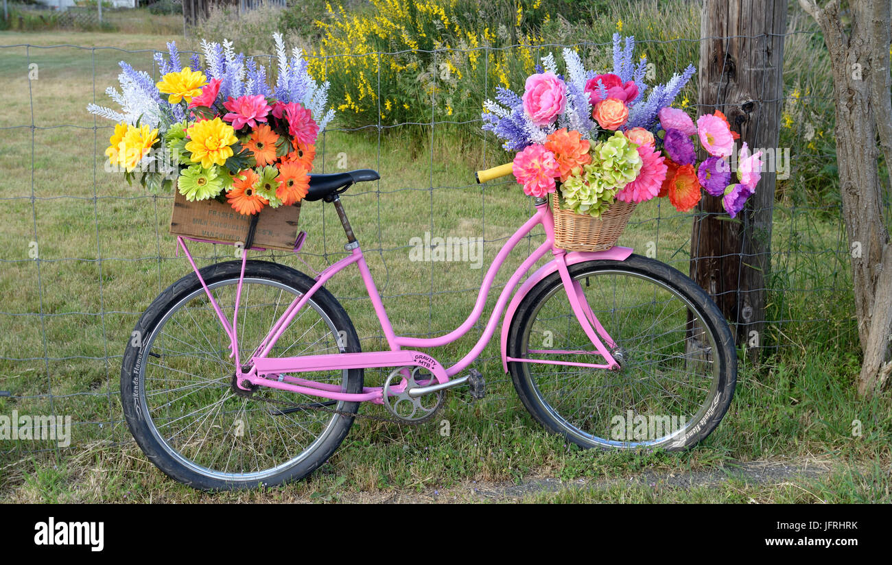 Point holmes comox hi-res stock photography and images - Alamy