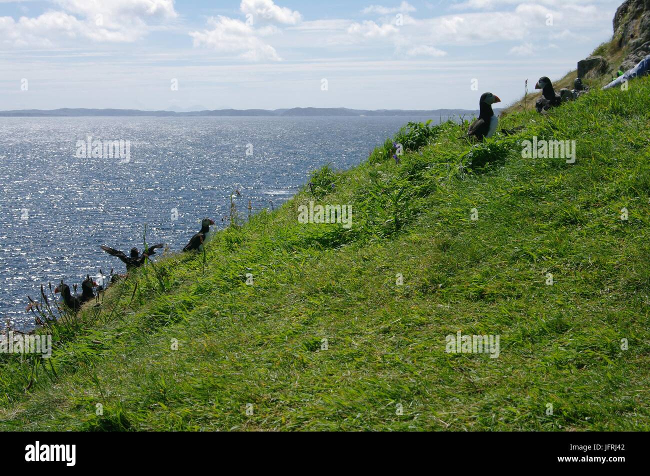 staffa, Scotland, United Kingdom Stock Photo - Alamy