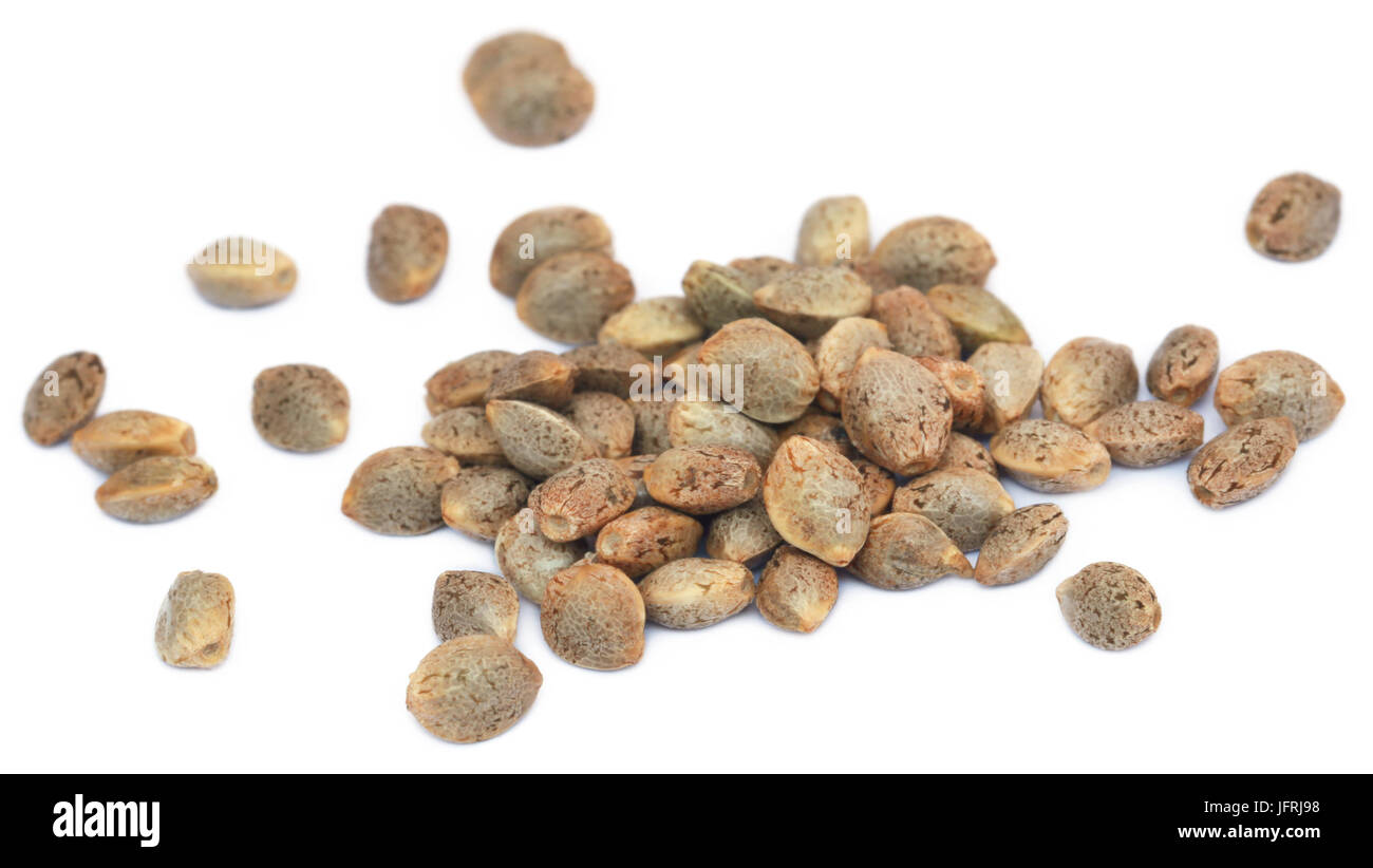 Cannabis seed Cut Out Stock Images & Pictures - Alamy