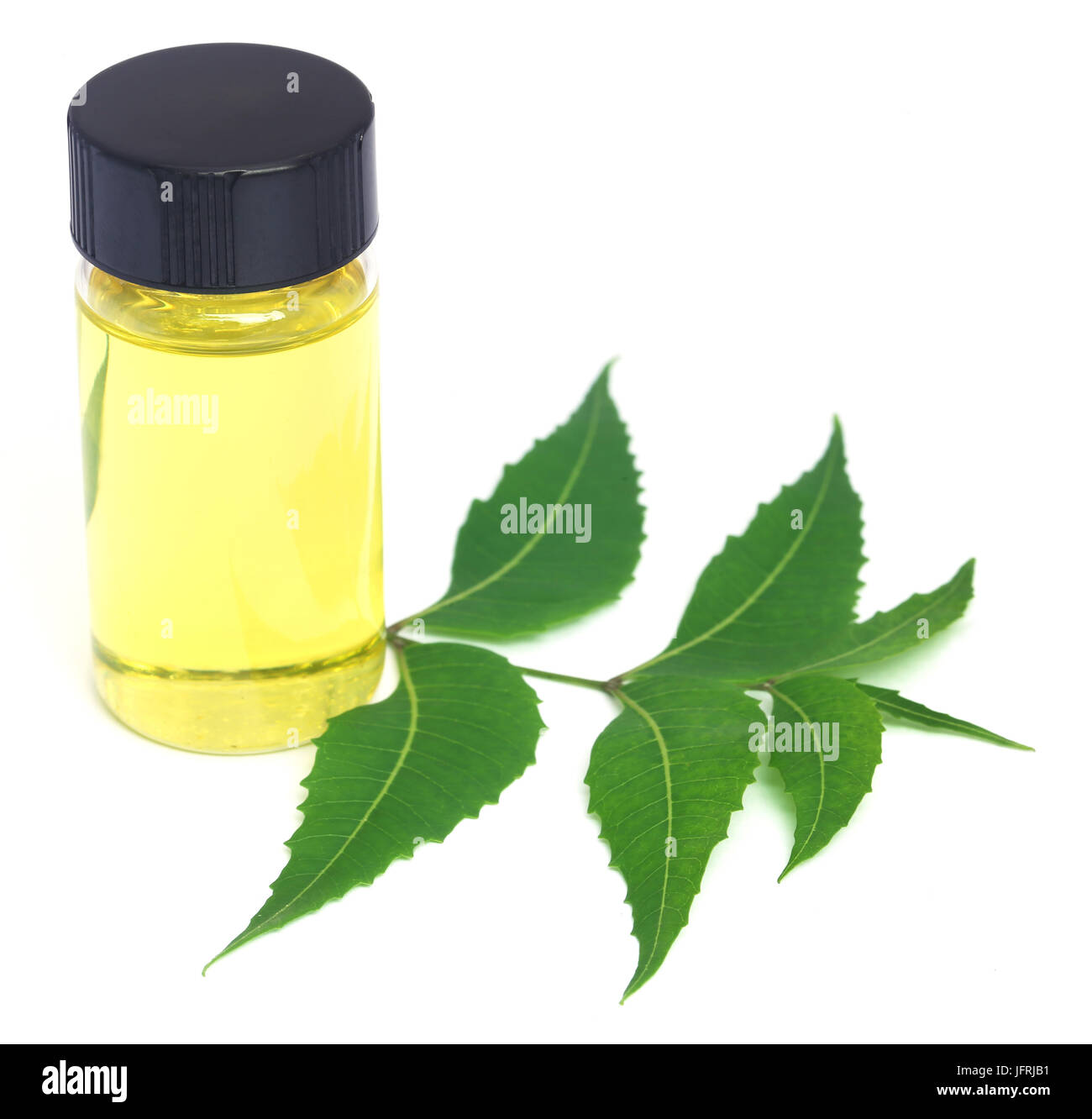 Medicinal neem leaves with essential oil over white background Stock ...