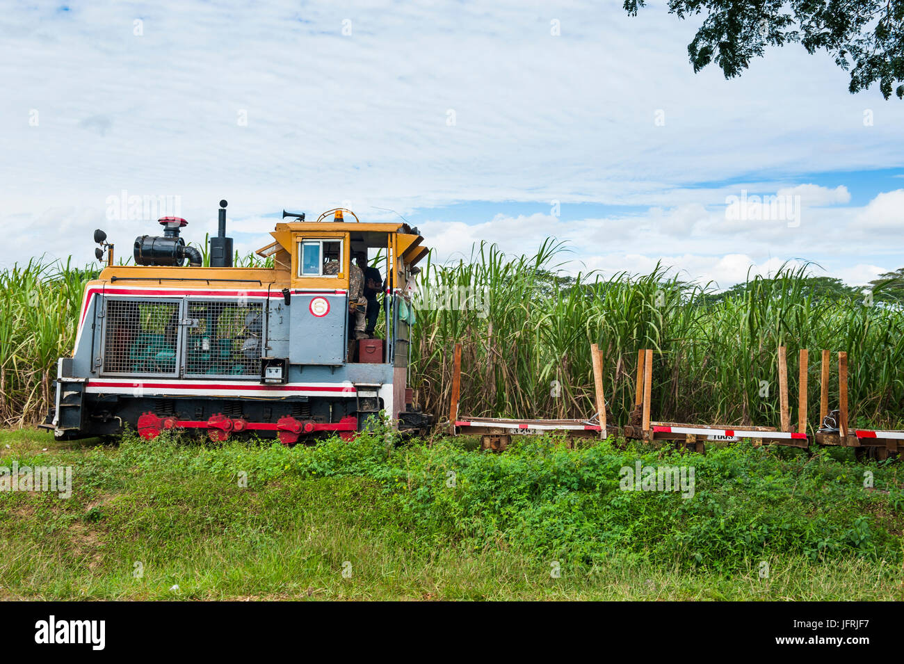 Sugar cane train, Coral Coast, Fiji, South Pacific Stock Photo - Alamy Sugar cane train, Coral Coast, Fiji, South Pacific Stock Photo - Alamy