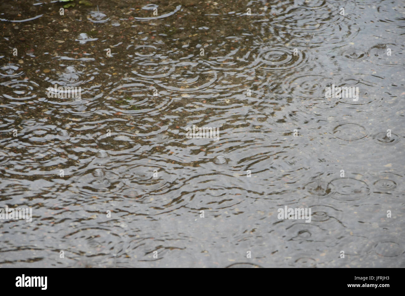 Water surface with heavy rain Stock Photo - Alamy