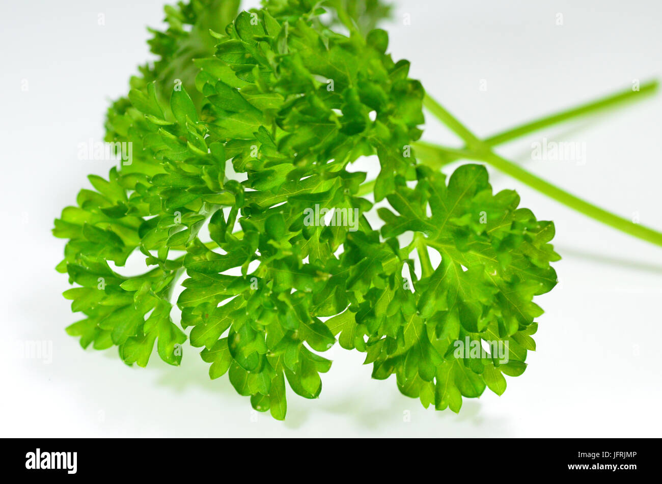 Curly parsley cut hi-res stock photography and images - Alamy