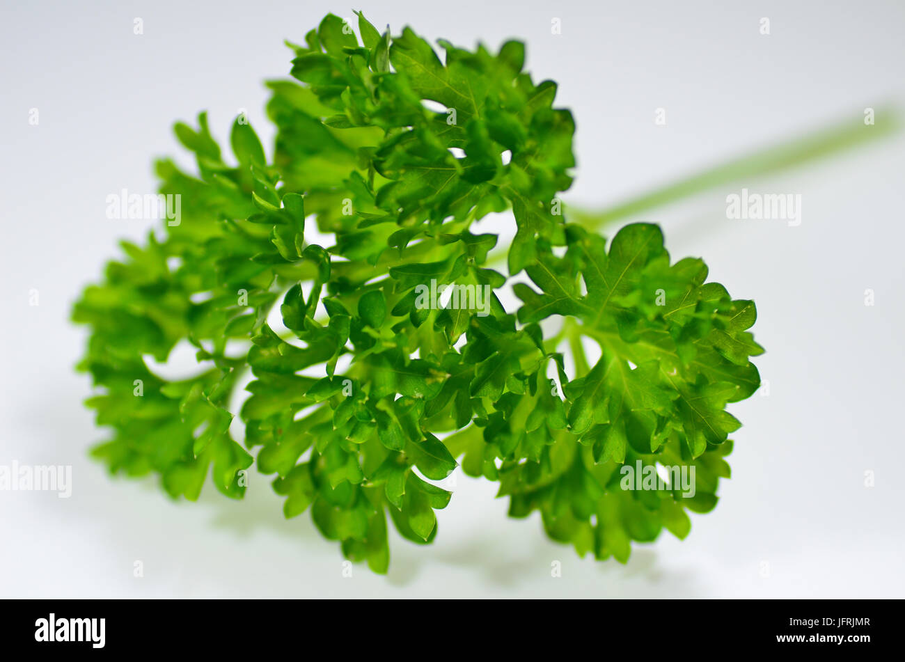 Curly parsley cut hi-res stock photography and images - Alamy