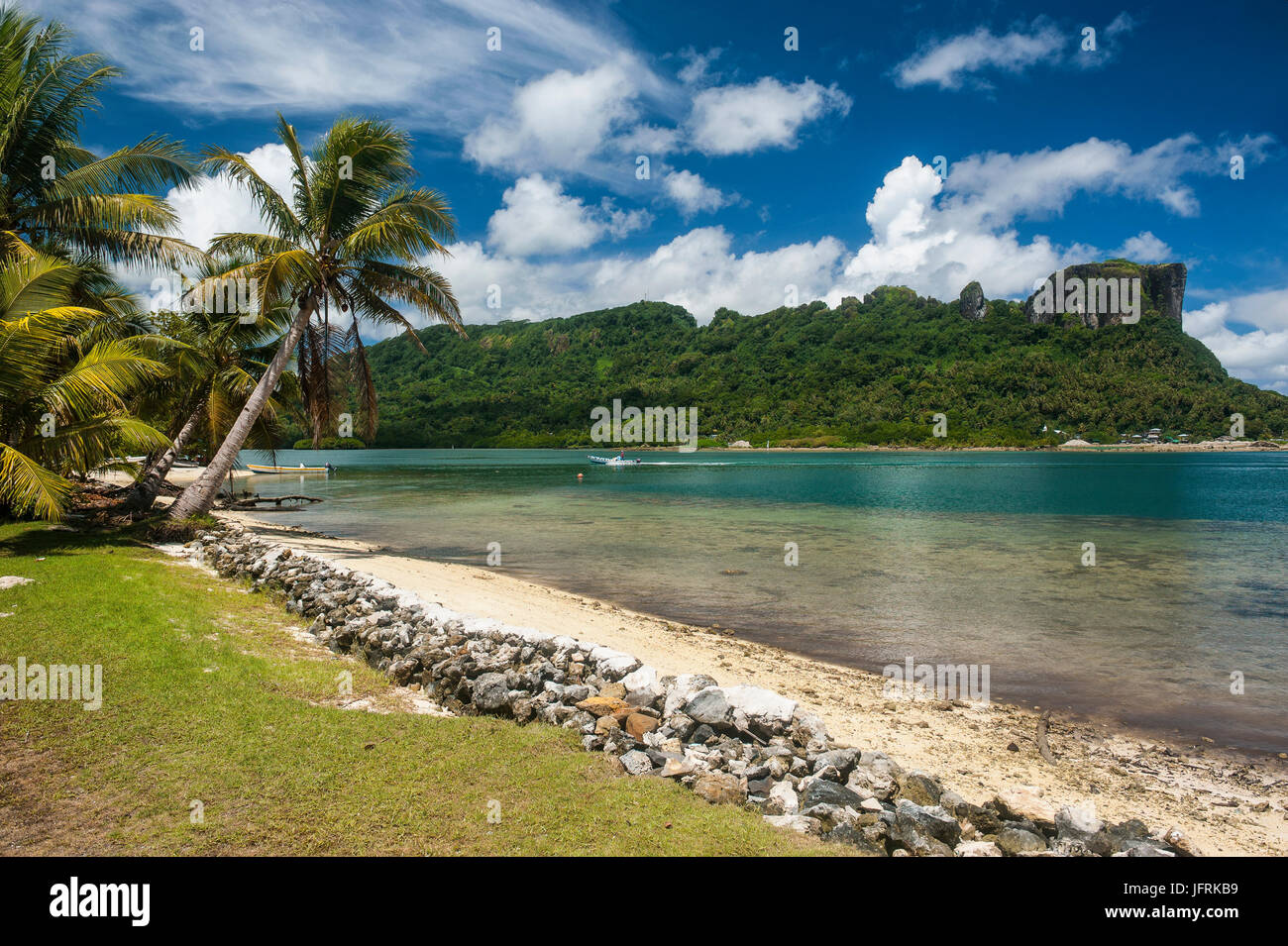 White sand beach with palm trees, Pohnpei, Micronesia, Central Pacific ...