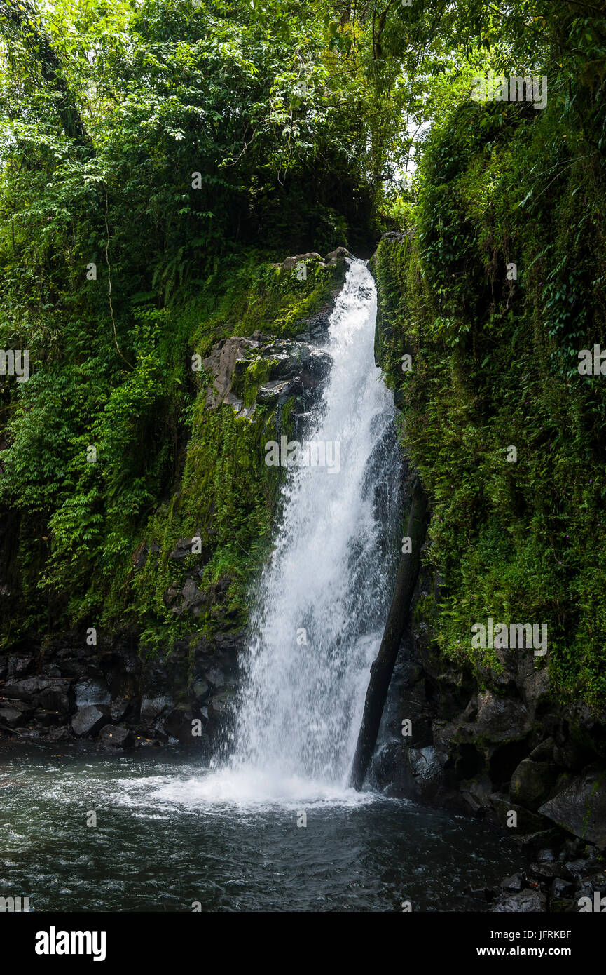 Nikotoapw waterfall, Pohnpei, Micronesia, Central Pacific Stock Photo ...