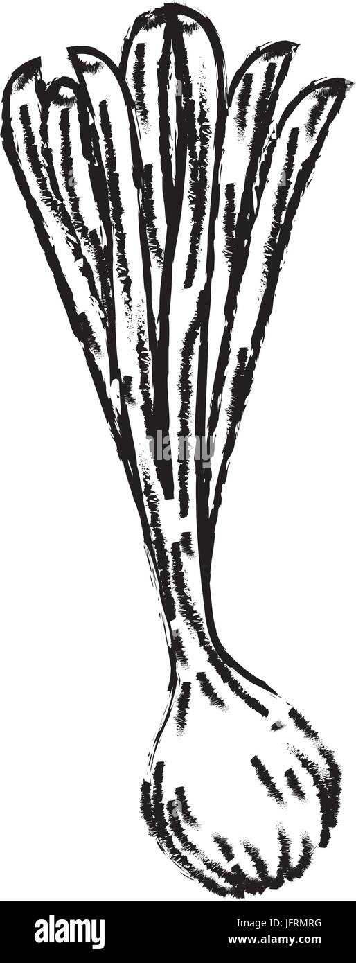 figure fresh long onion plant vegetable Stock Vector Image & Art - Alamy