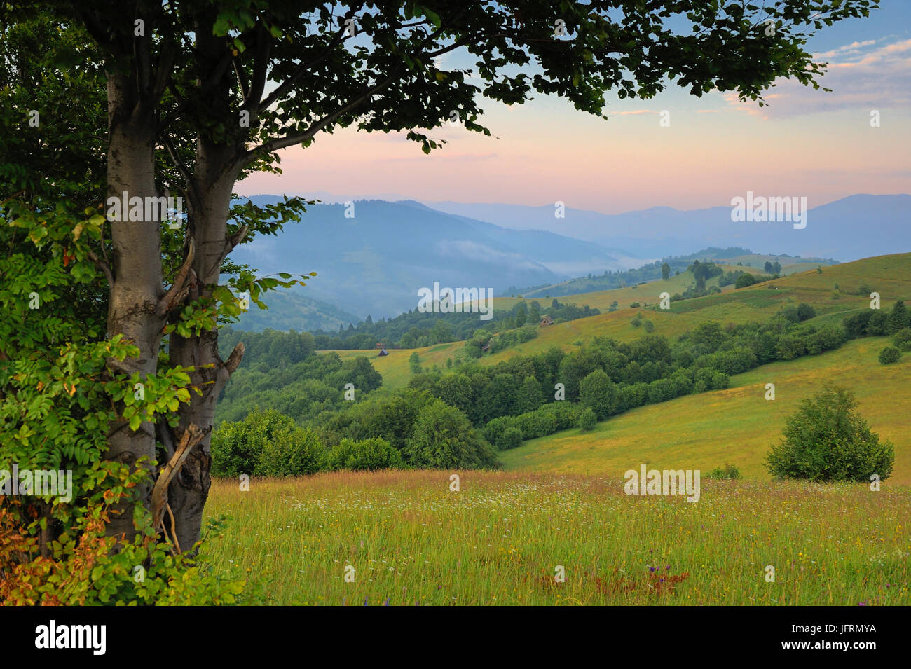 Beautiful sunny day is in mountain landscape Stock Photo - Alamy