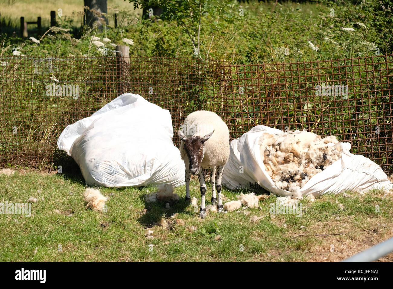 Farming bag hi-res stock photography and images - Alamy